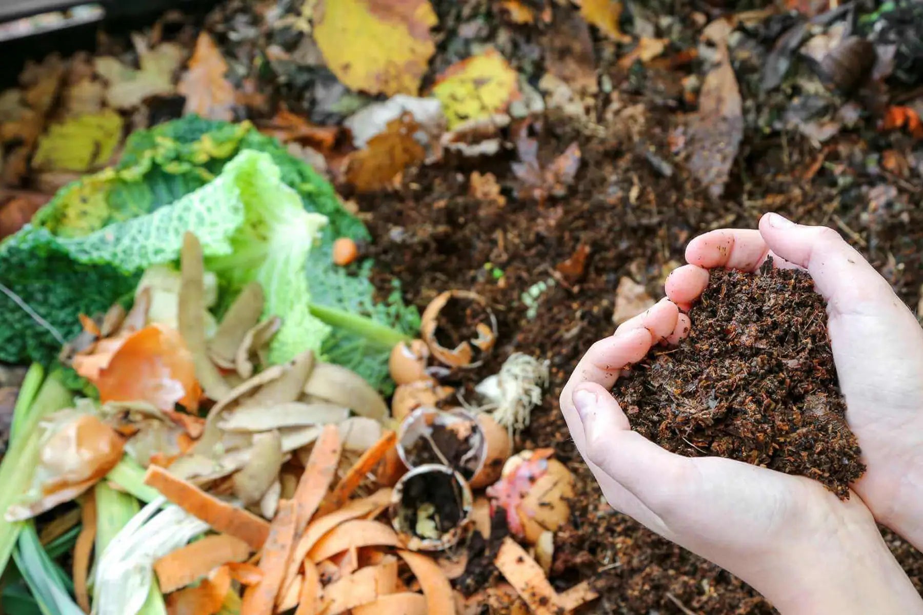 Dal rifiuto al fertilizzante: come fare compost in casa – Bloome