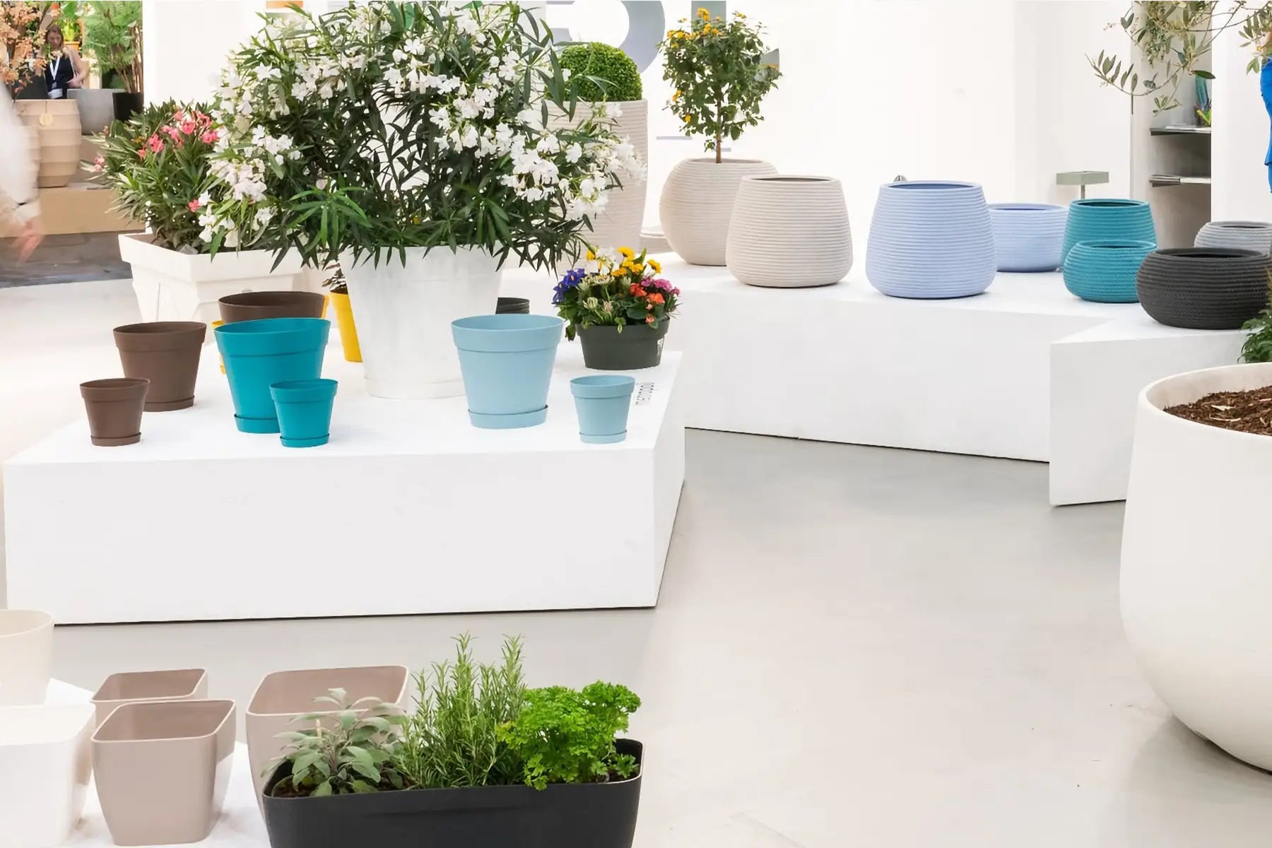 Guide to Choosing Pots: Materials, Shapes, and Functions – Bloome